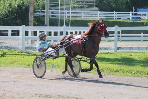 Lopes continues dominant streak - The Royal Gazette | Bermuda News ...