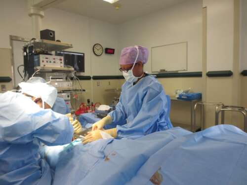 KEMH makes history with surgery - The Royal Gazette | Bermuda News ...