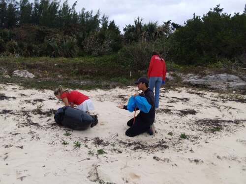 Cooper’s Island clean-up collects more than 300lb of trash - The Royal ...