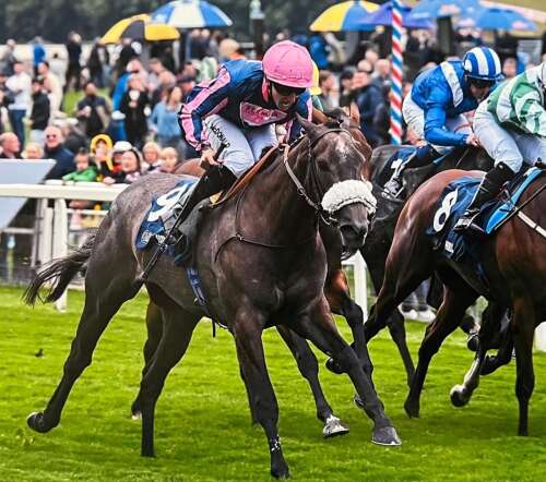 Equine Flora takes leaf out of the Dame’s book with huge win - The ...