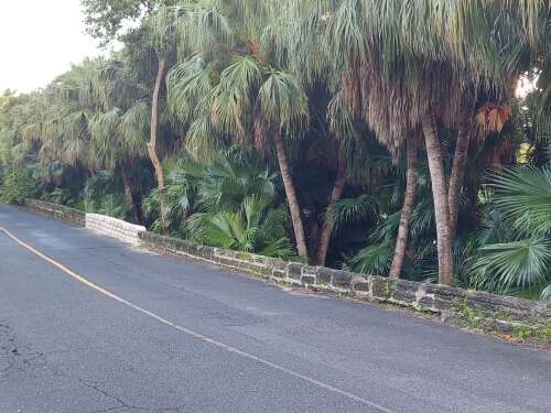 Middle Road wall repaired months after accident - The Royal Gazette ...