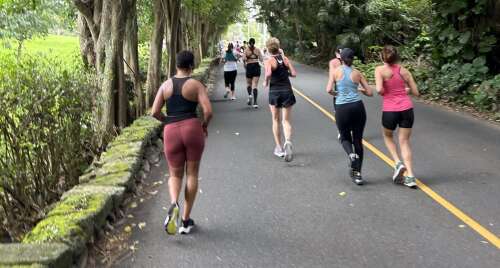 New Royal Gazette reporter runs Bermuda Triangle Challenge - The Royal ...