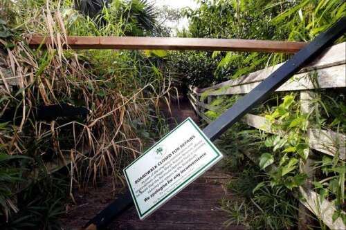 Replacement work for Paget Marsh boardwalk to start soon - The Royal ...