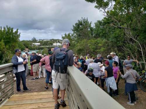 New bridge officially opens in Flatts - The Royal Gazette | Bermuda ...