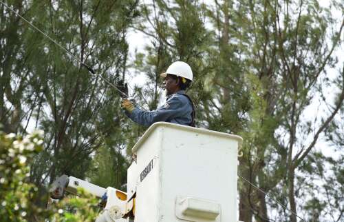 Belco on hurricane season: cut trees near power lines - The Royal ...