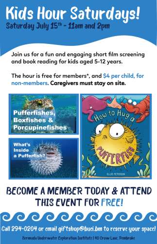 Puffer fish to feature in BUEI’s Kids Hour Saturday - The Royal Gazette ...