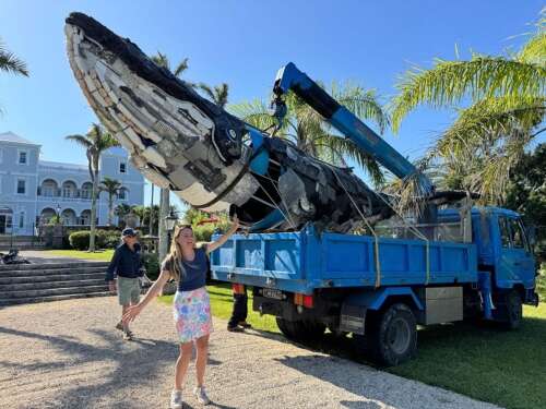 Whale art lands at Government House for World Ocean Day - The Royal ...