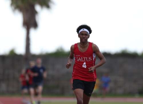 Saltus claim senior title - The Royal Gazette | Bermuda News, Business ...