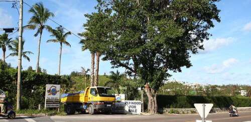 Environmental groups appeal to minister to stop Devonshire Marsh plans ...