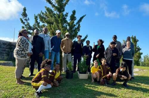 Peace trees presented at Fort Scaur - The Royal Gazette | Bermuda News ...