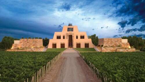 Grape Expectations: The ‘Batman of wine’ - The Royal Gazette | Bermuda ...