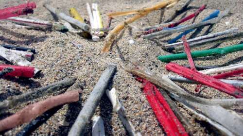 Public warned about plastic pollution - The Royal Gazette | Bermuda ...