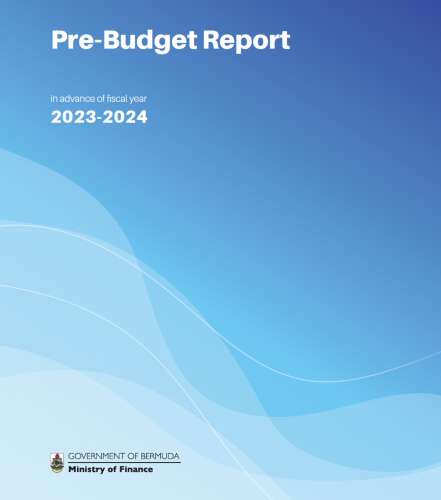 Pre-Budget report consultation period extended - The Royal Gazette ...