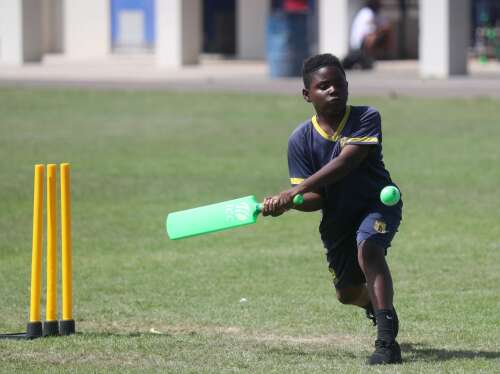 It’s two for two as Warwick pick up another schools cricket trophy ...