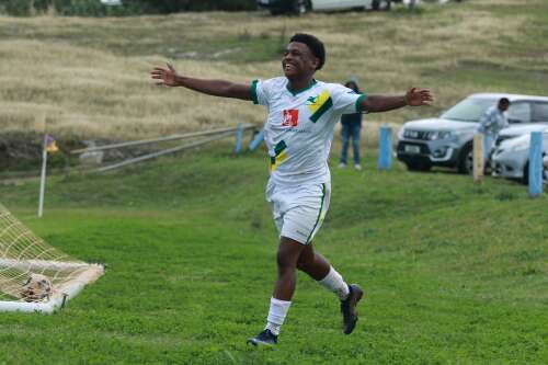 Young players star as ruthless Robin Hood thrash St David’s - The Royal ...