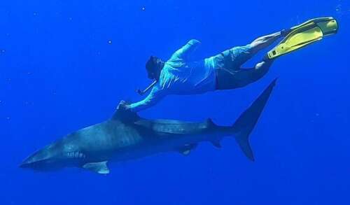 Work of Bermuda scientists to be highlighted at New York event - The ...