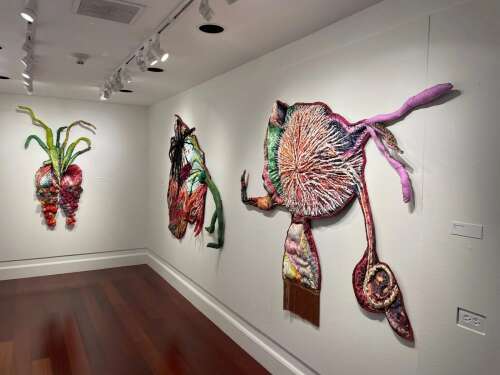 Hassell shows how far she’s come - The Royal Gazette | Bermuda News ...