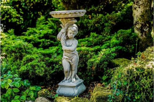 Planning a garden with visual impact - The Royal Gazette | Bermuda News ...