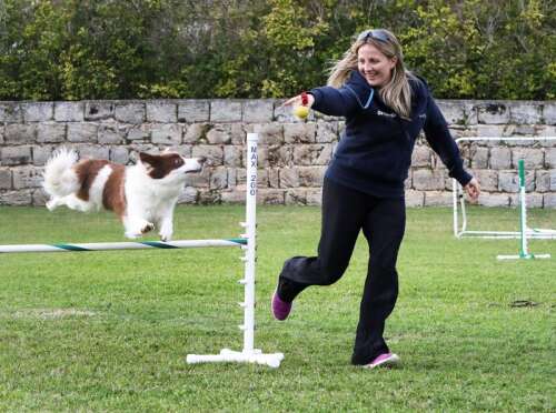 UK dog trainer on island for seminars - The Royal Gazette | Bermuda ...