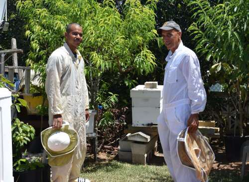 Bringing up bees with the Woolridges - The Royal Gazette | Bermuda News ...