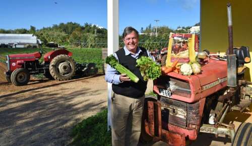 Wadson: variety key to farm share success - The Royal Gazette | Bermuda ...