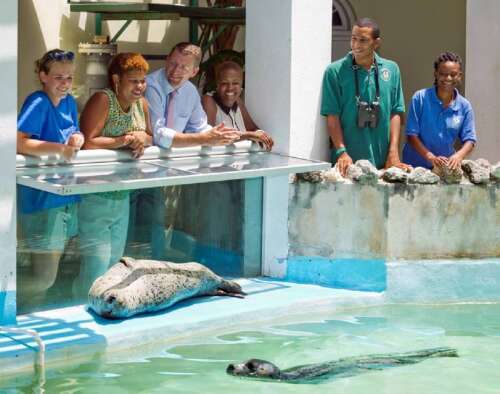 Fahy encouraged by workers of tomorrow - The Royal Gazette | Bermuda ...