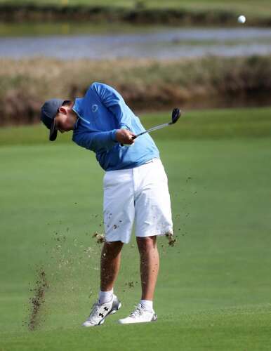 Leseur outlines potential - The Royal Gazette | Bermuda News, Business ...