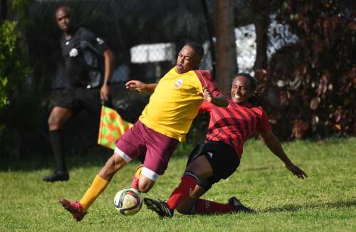 Quick minds but tired limbs as Hamilton Parish win Masters Cup Final ...