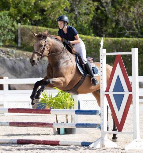 Showjumping stars celebrate Caribbean Challenge victory - The Royal ...