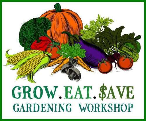 Garden contest entry deadline is today - The Royal Gazette | Bermuda ...