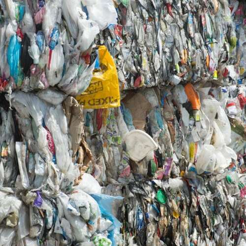 Plastic pollution under the spotlight at talk this week - The Royal ...