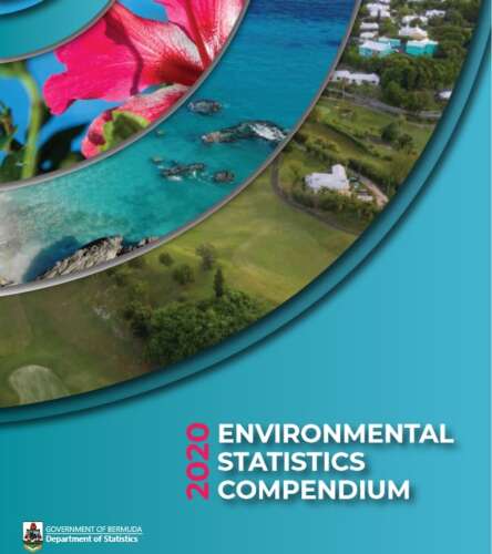 Tynes Bay incinerator pollution increases - The Royal Gazette | Bermuda ...