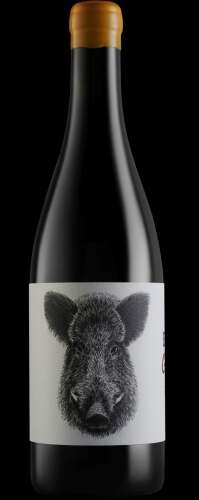 Old friends, wild pigs and wine - The Royal Gazette | Bermuda News ...