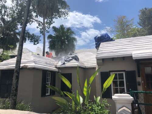 Rubber tree branch falls on preschool roof - The Royal Gazette ...
