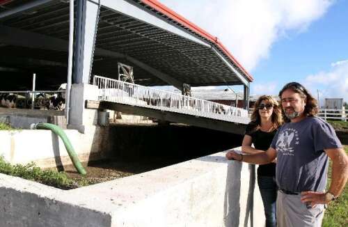 Green Land dairy farm sold to Almeida - The Royal Gazette | Bermuda ...