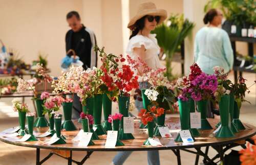 Ag Show attracts huge crowds for family fun in the sun - The Royal ...