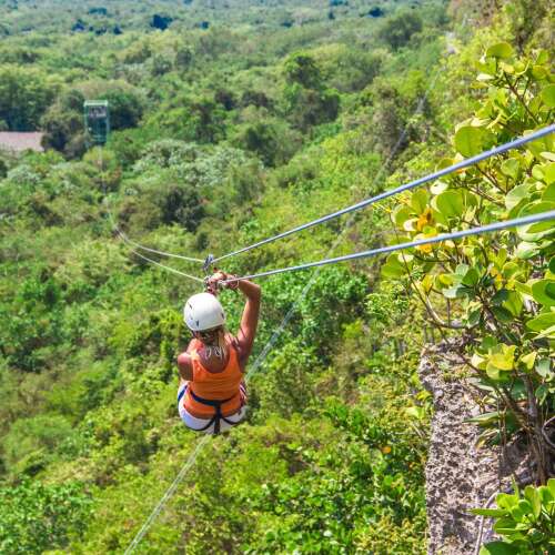 Government looking at zip-line proposal for Southlands - The Royal ...