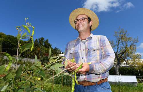 Sustainable farming workshop offered - The Royal Gazette | Bermuda News ...