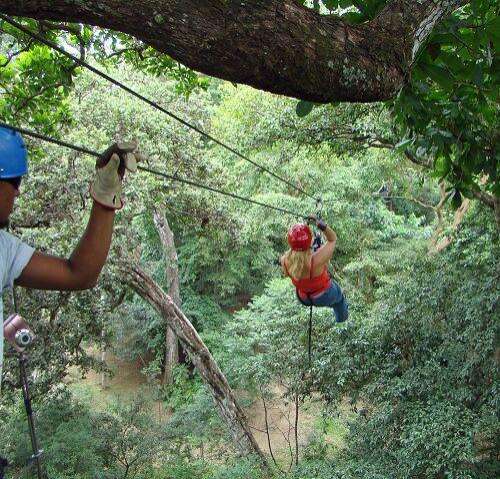 Dockyard zip line approved - The Royal Gazette | Bermuda News, Business ...