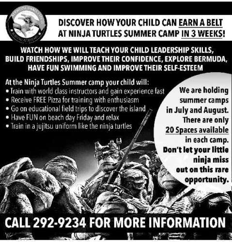 Ninja Turtles Summer Camp - The Royal Gazette | Bermuda News, Business ...