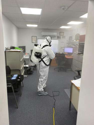 Company tackles virus as well as cockroaches - The Royal Gazette ...