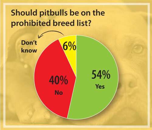 Poll: voters back ban on pitbull-type dogs - The Royal Gazette ...