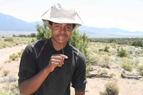 DCFS turned my life around, says Hill - The Royal Gazette | Bermuda ...