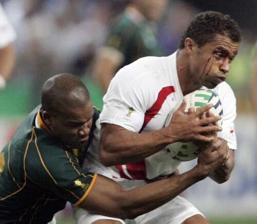 Springboks crush England - The Royal Gazette | Bermuda News, Business ...