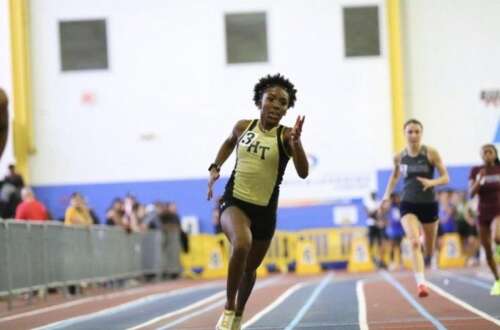 Bobb and Armstrong build for Carifta - The Royal Gazette | Bermuda News ...