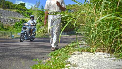 Praise for Works & Engineering - The Royal Gazette | Bermuda News ...