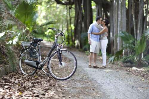 The return of the mobylette — 21st century style - The Royal Gazette ...