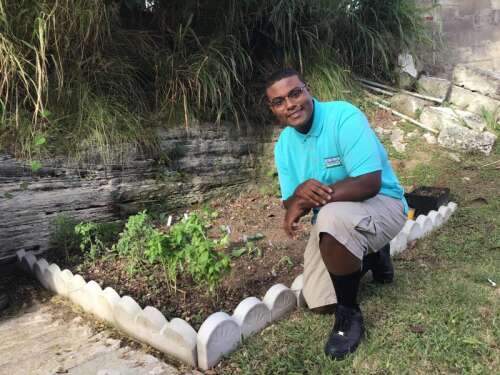 Teenager launches vegetable-garden business - The Royal Gazette ...