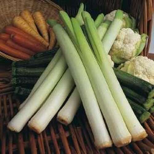 Remembering our late friend Jon, and taking a closer look at the leek ...