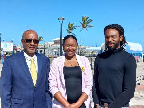 FDM pledges independent taxi industry if elected - The Royal Gazette ...